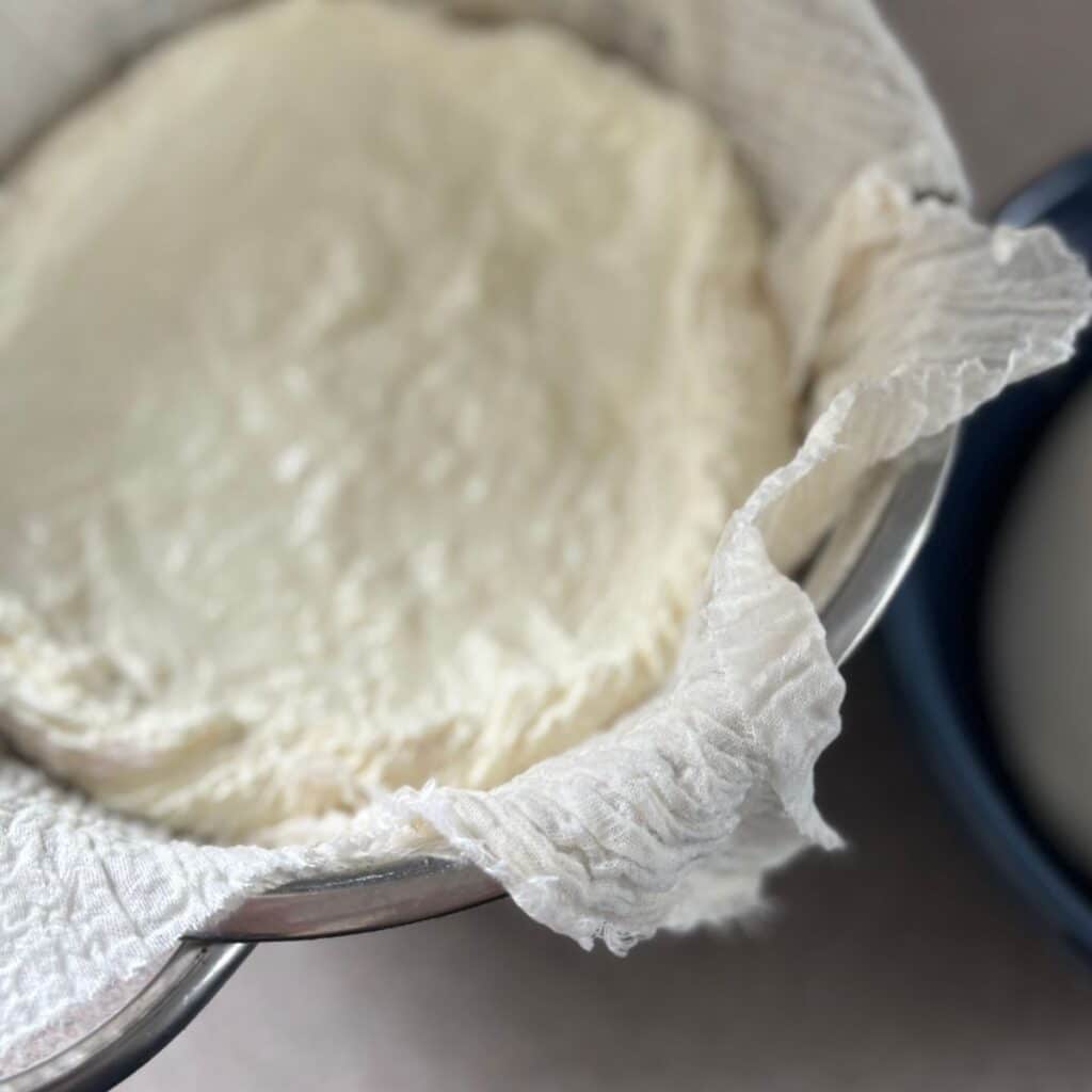 How to Make Quark (Bakery Tested Recipe)